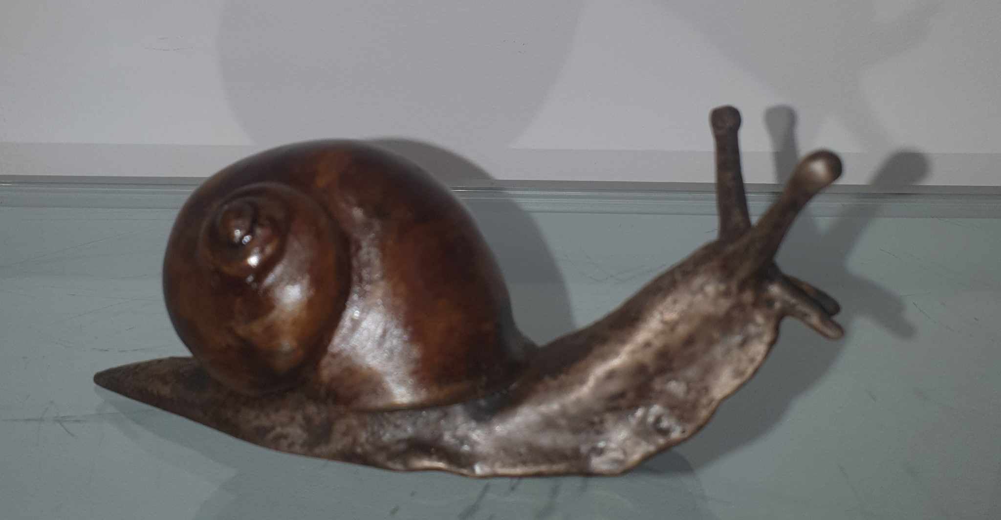 Brian Snail – Ludgate Gallery