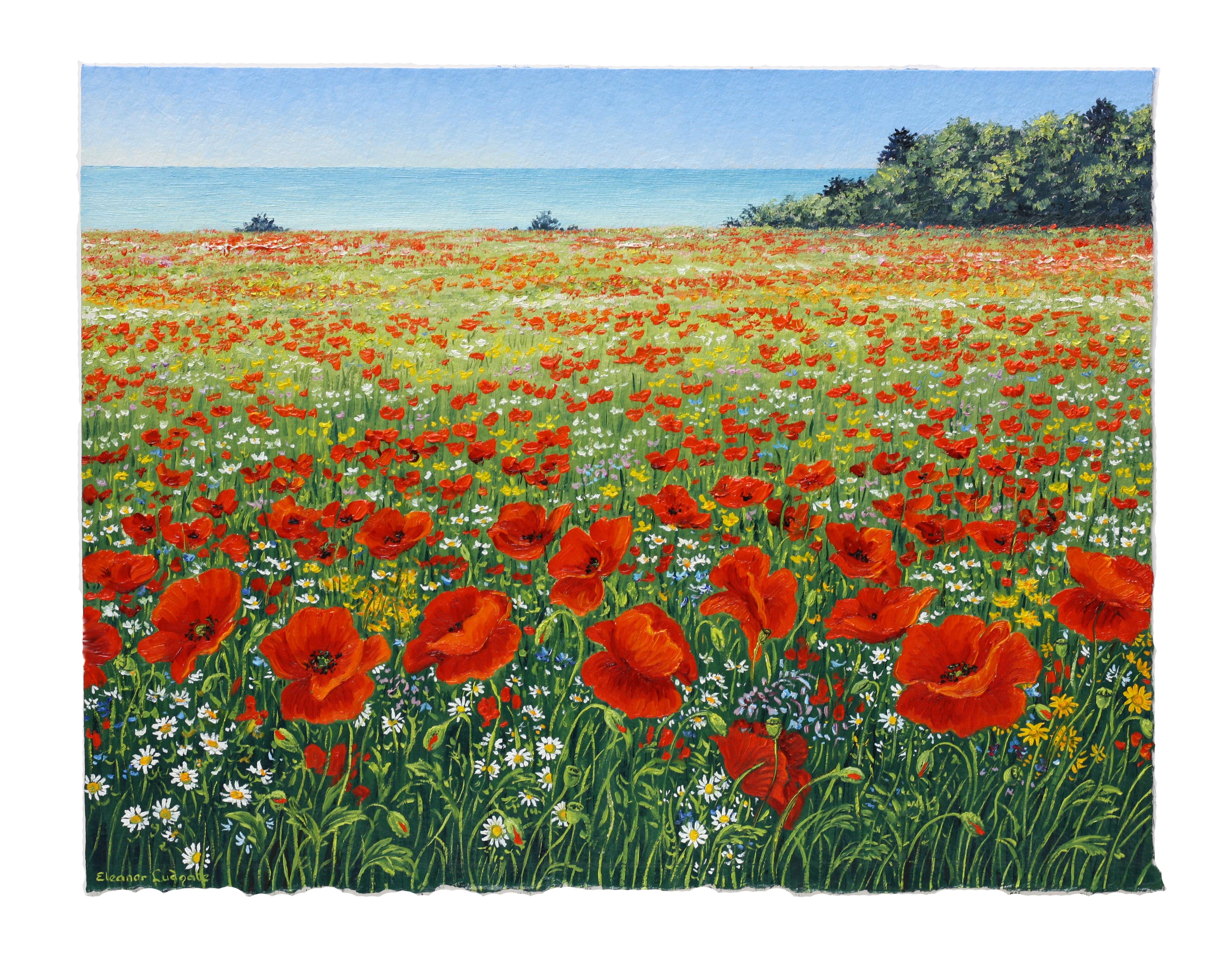 Poppies by the Sea Framed limited Print – Ludgate Gallery