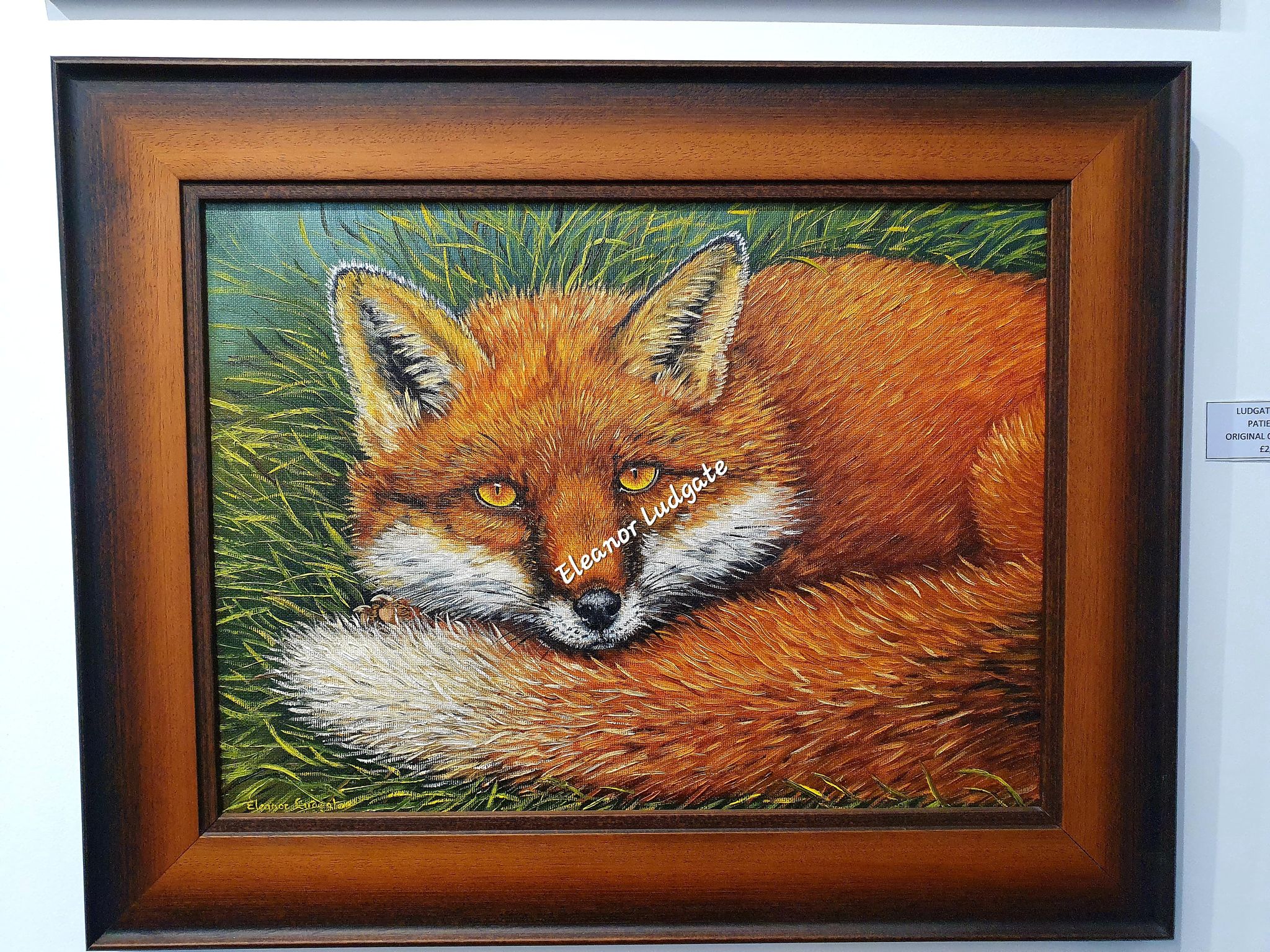 Patient Fox Original Painting – Ludgate Gallery