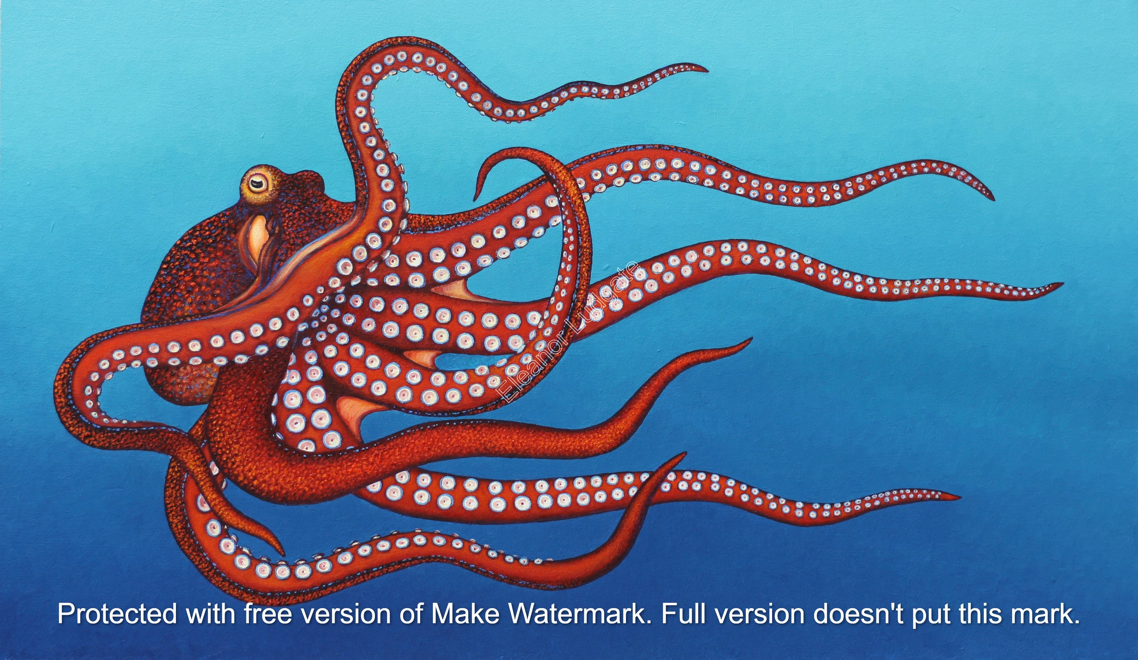Red Octopus original Oil painting by Eleanor ludgate – Ludgate Gallery