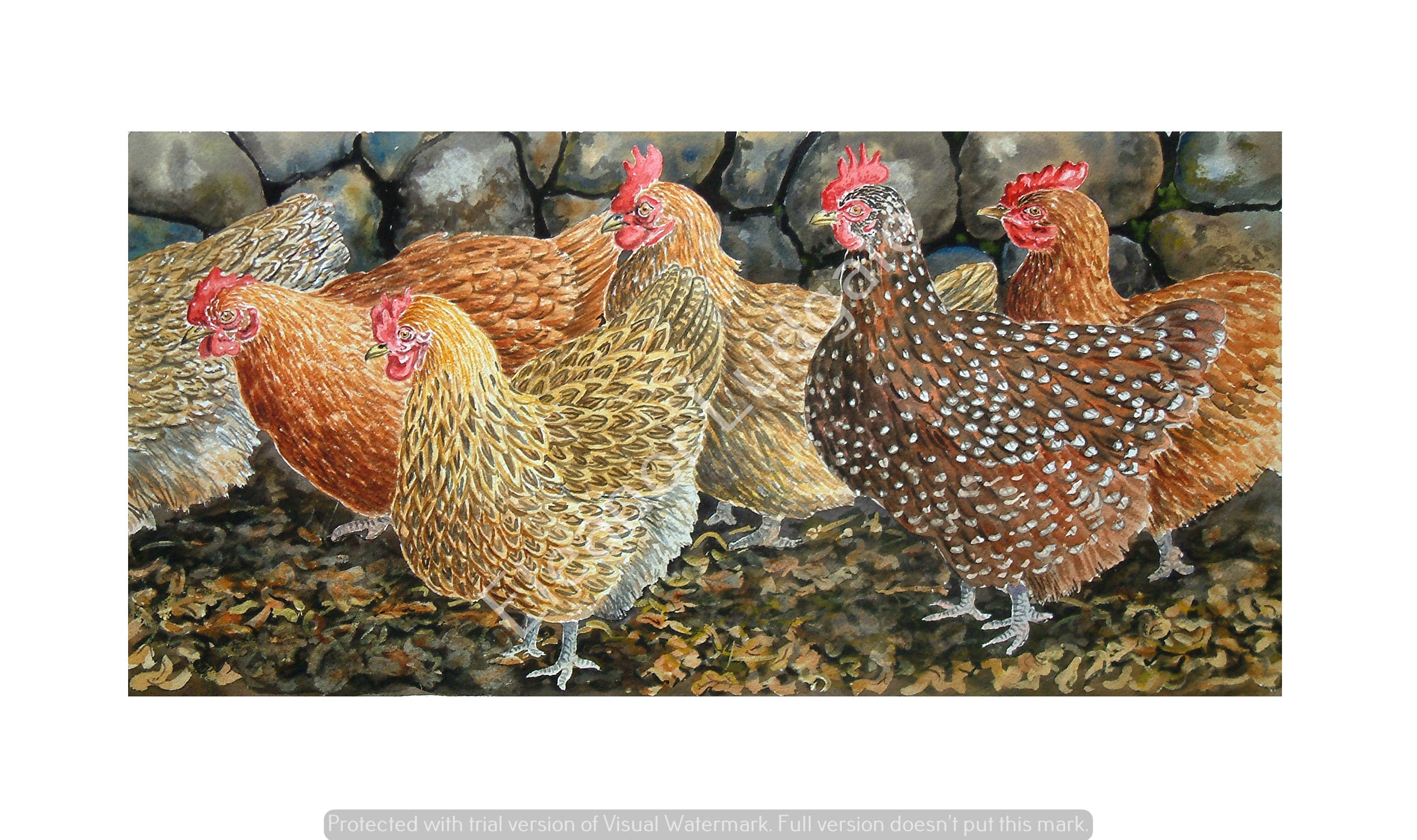 Hen Party signed print – Ludgate Gallery