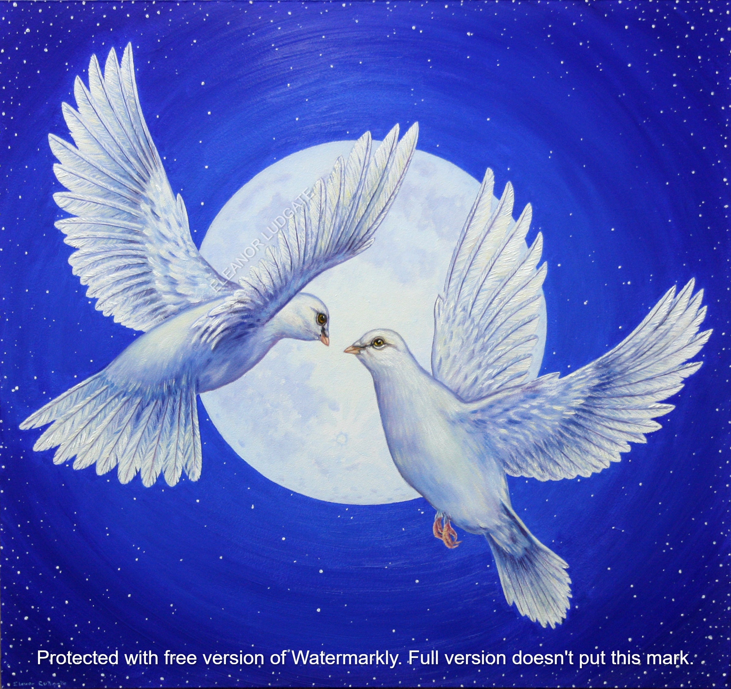 Moon Doves signed framed Print – Ludgate Gallery