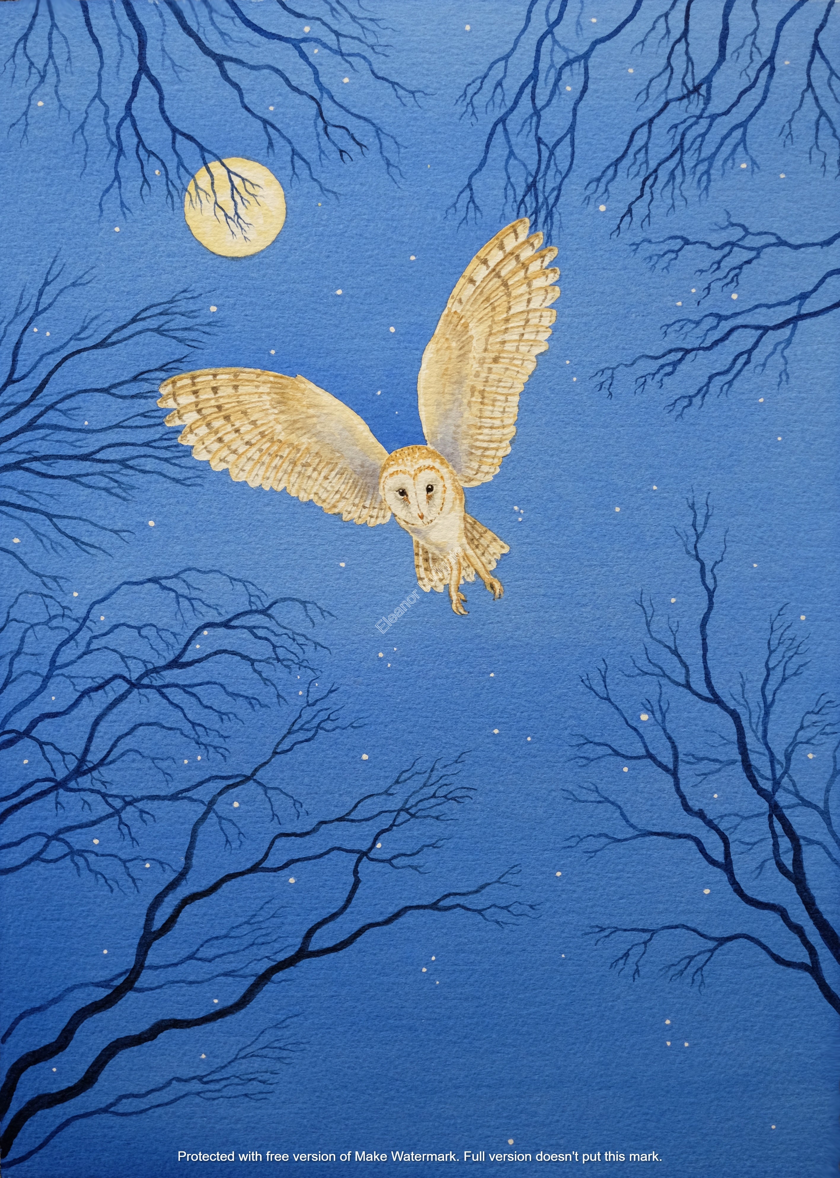 Swooping Owl Original Painting – Ludgate Gallery